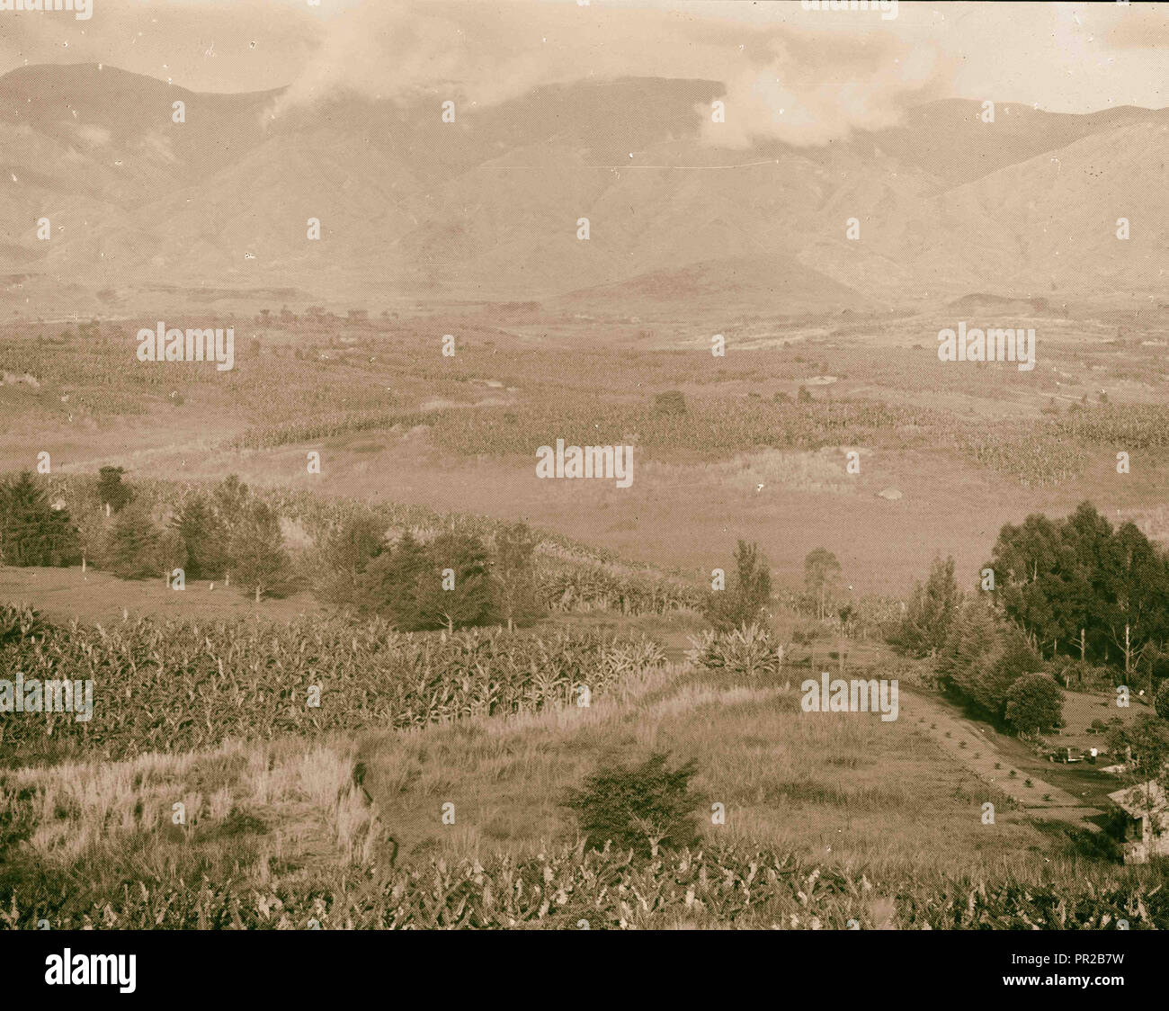 Uganda. Ruwenzori Range. Mountains of the Moon, from Fort Portal ...