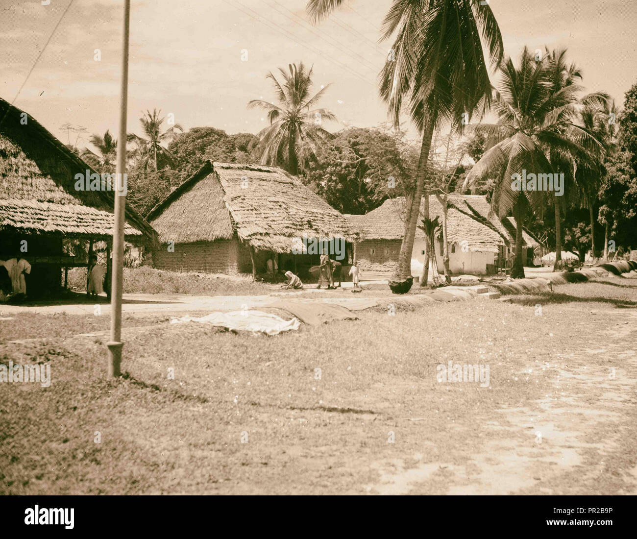 Zanzibar. Native huts among the palms. 1936, Zanzibar, Tanzania Stock ...