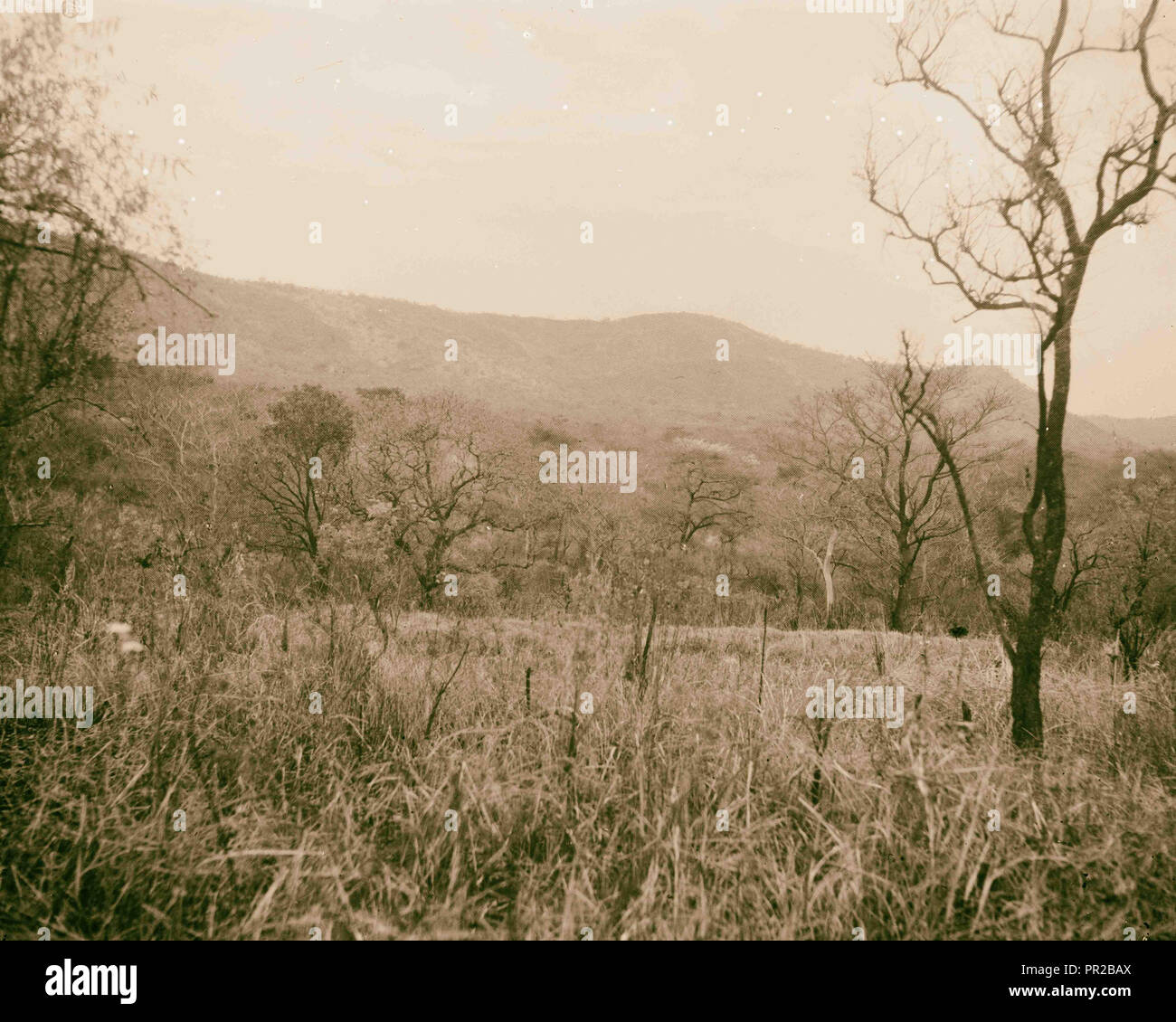 Western rift hi-res stock photography and images - Alamy