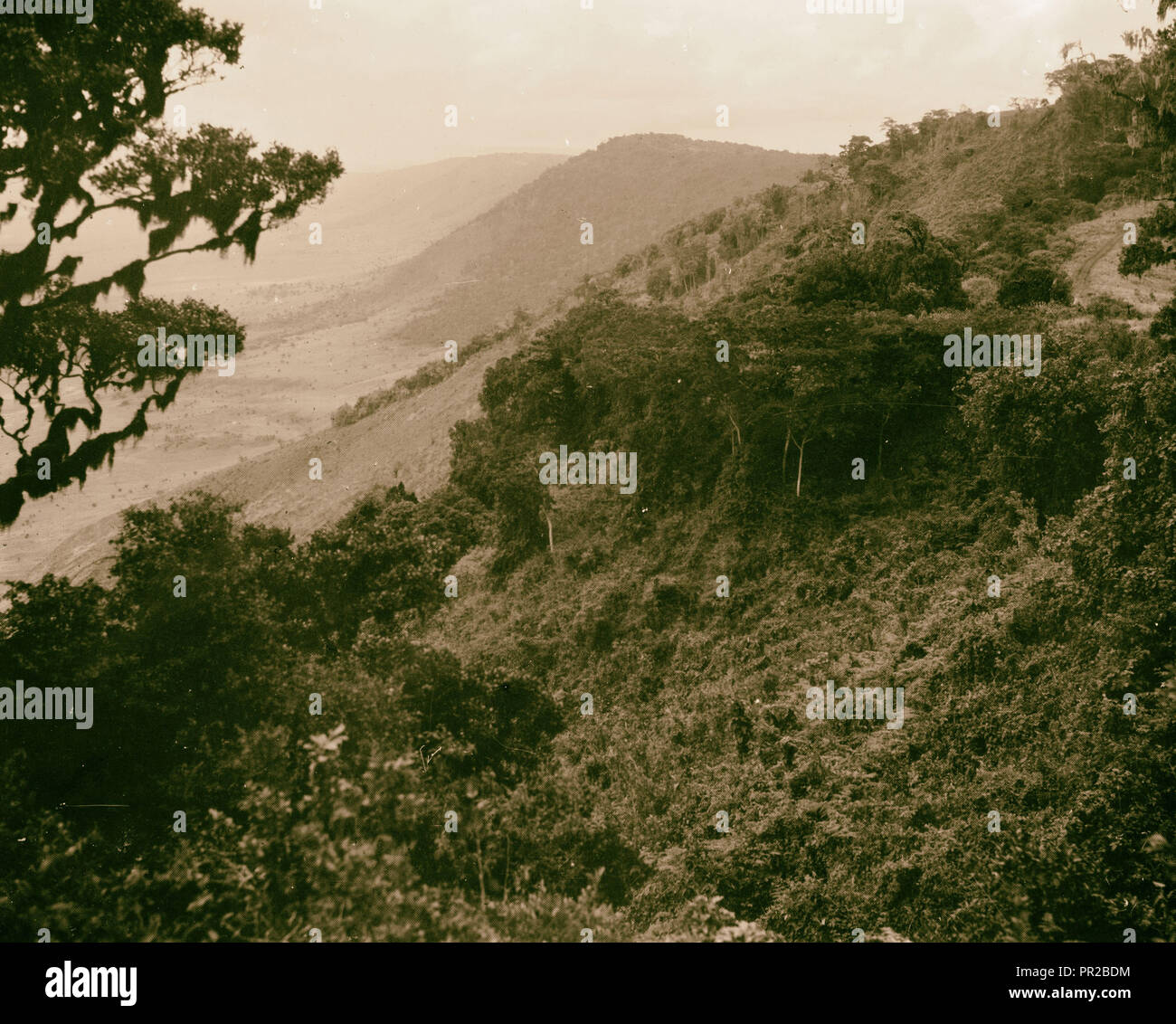 Ngoro ngoro crater hi-res stock photography and images - Alamy