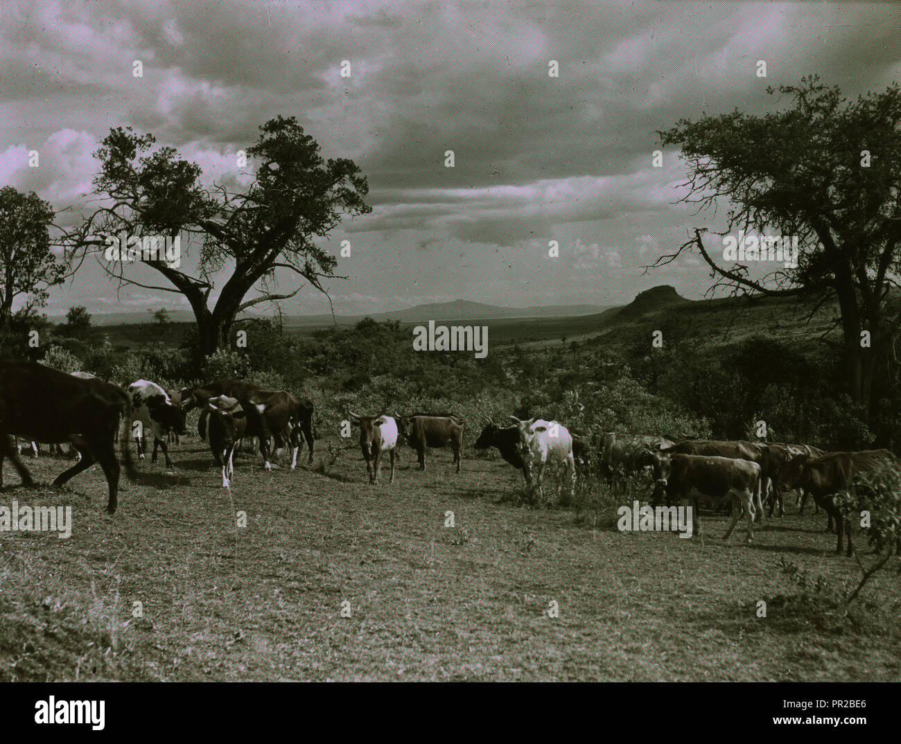 Navisha lake hi-res stock photography and images - Alamy