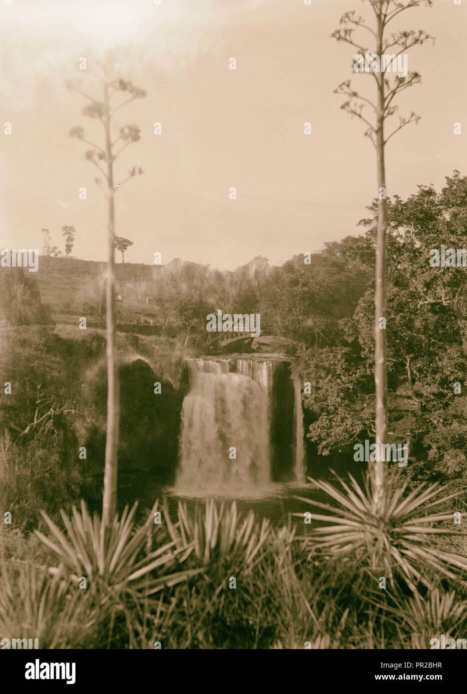 Thica hi-res stock photography and images - Alamy