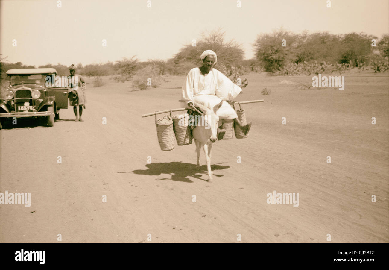 Sudan. Khartoum. Near Shambat. Going to market, native on donkey. 1936 ...