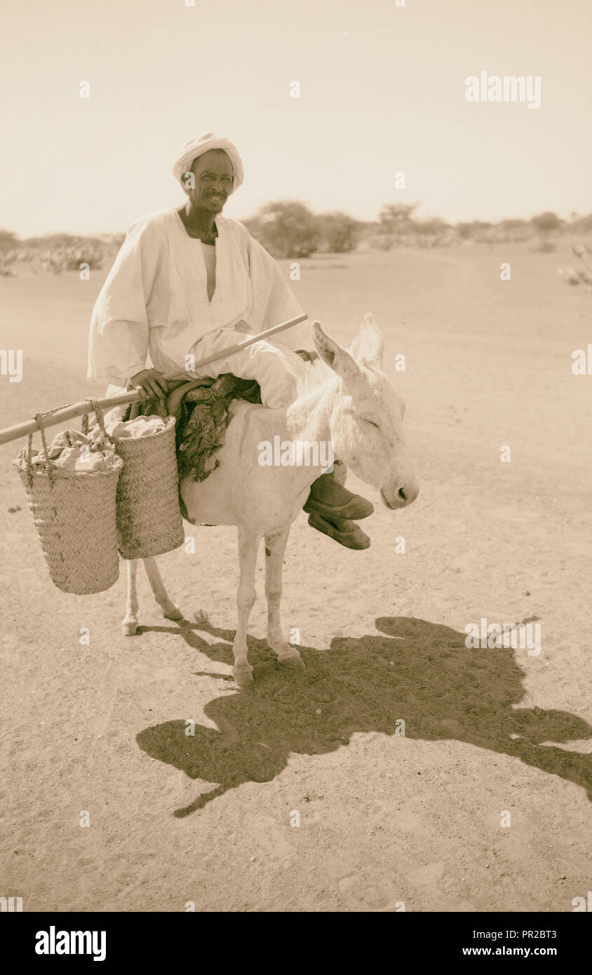 Sudan. Khartoum. Near Shambat. Going to market, native on donkey, close ...
