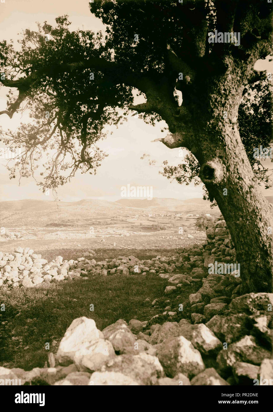 Tibna, north west of Jerusalem, Valley of Ajalon and Beth Horon. 1900 ...