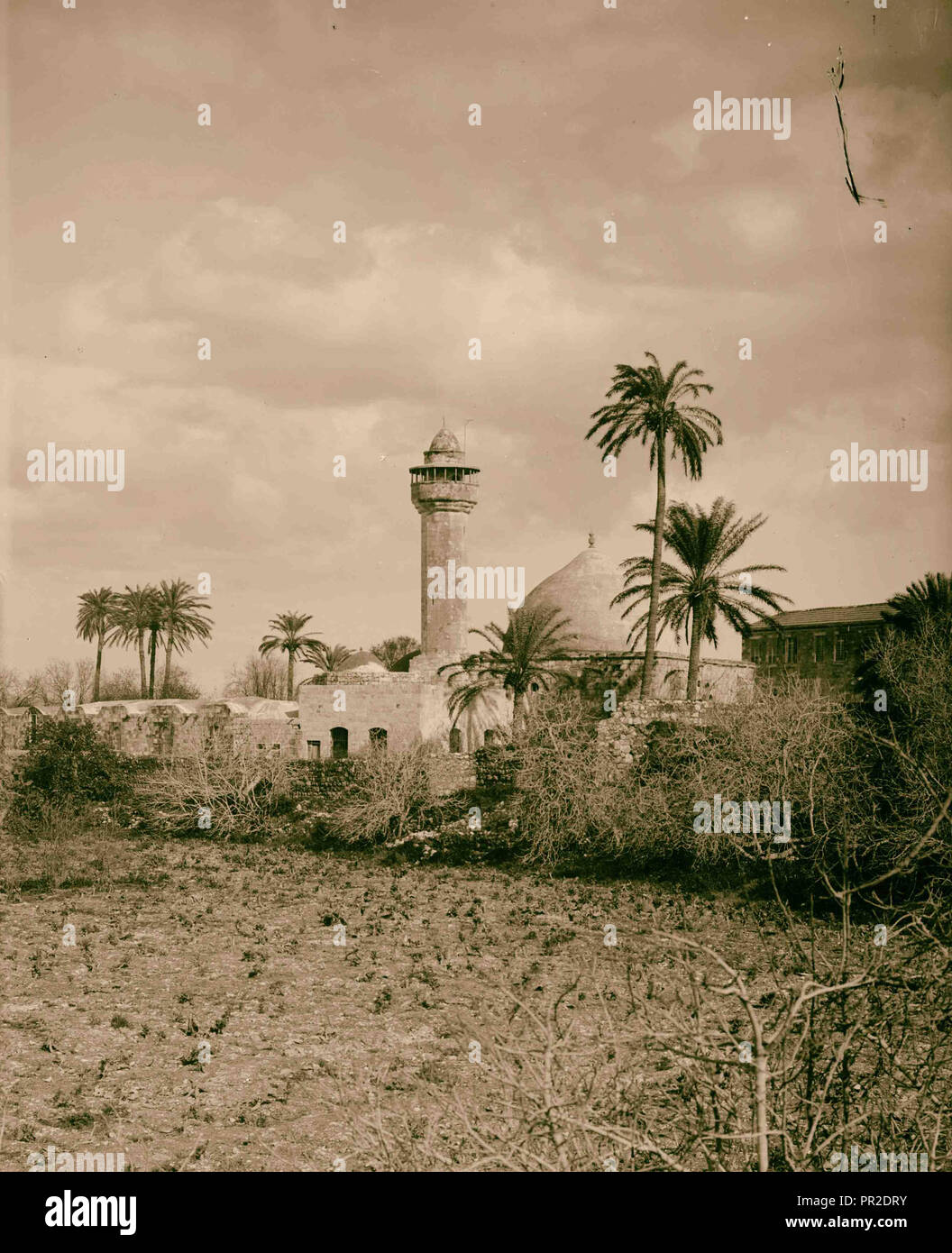 Mosque at jenin hi-res stock photography and images - Alamy