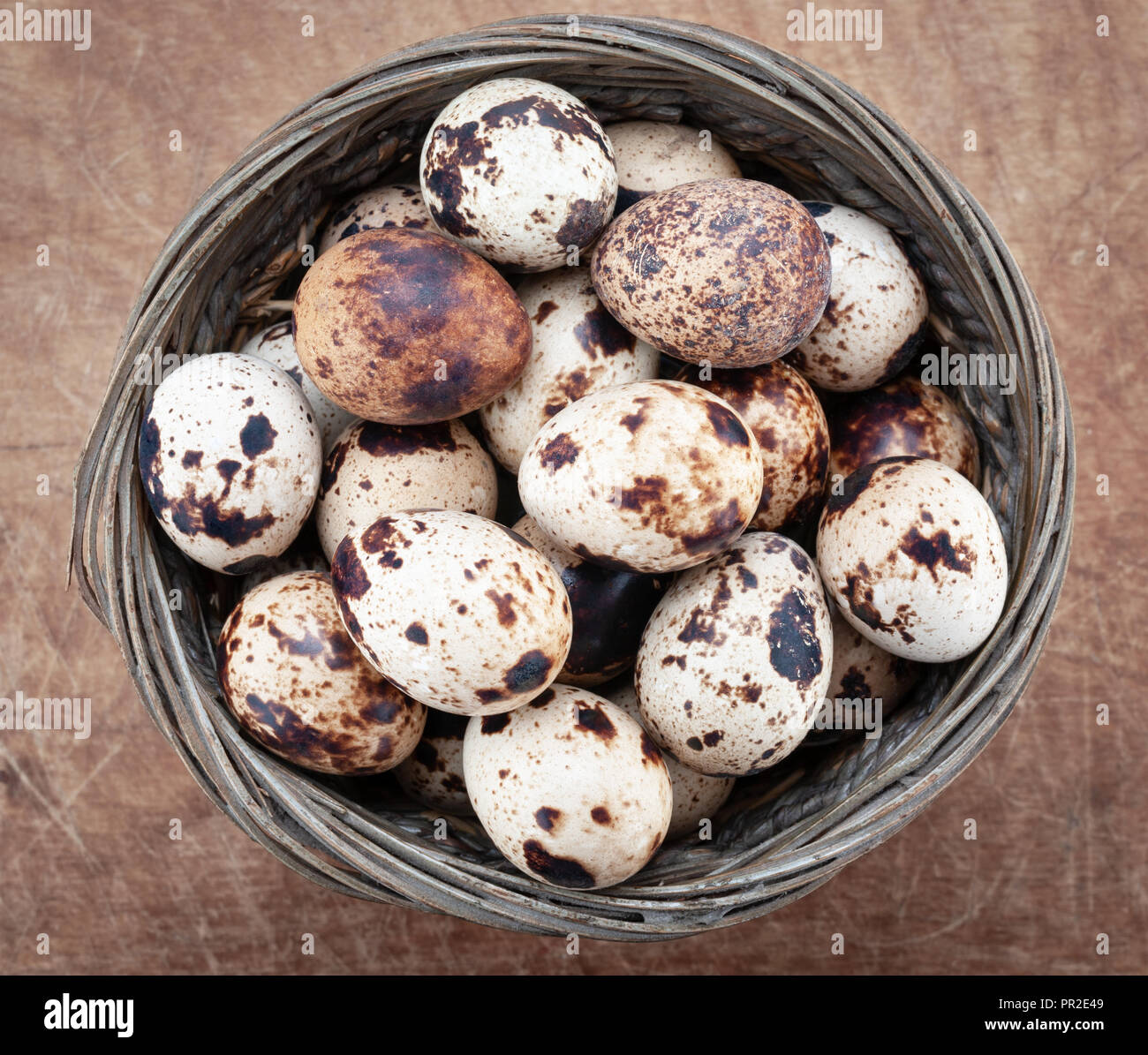 Top view natural quail hi-res stock photography and images - Alamy