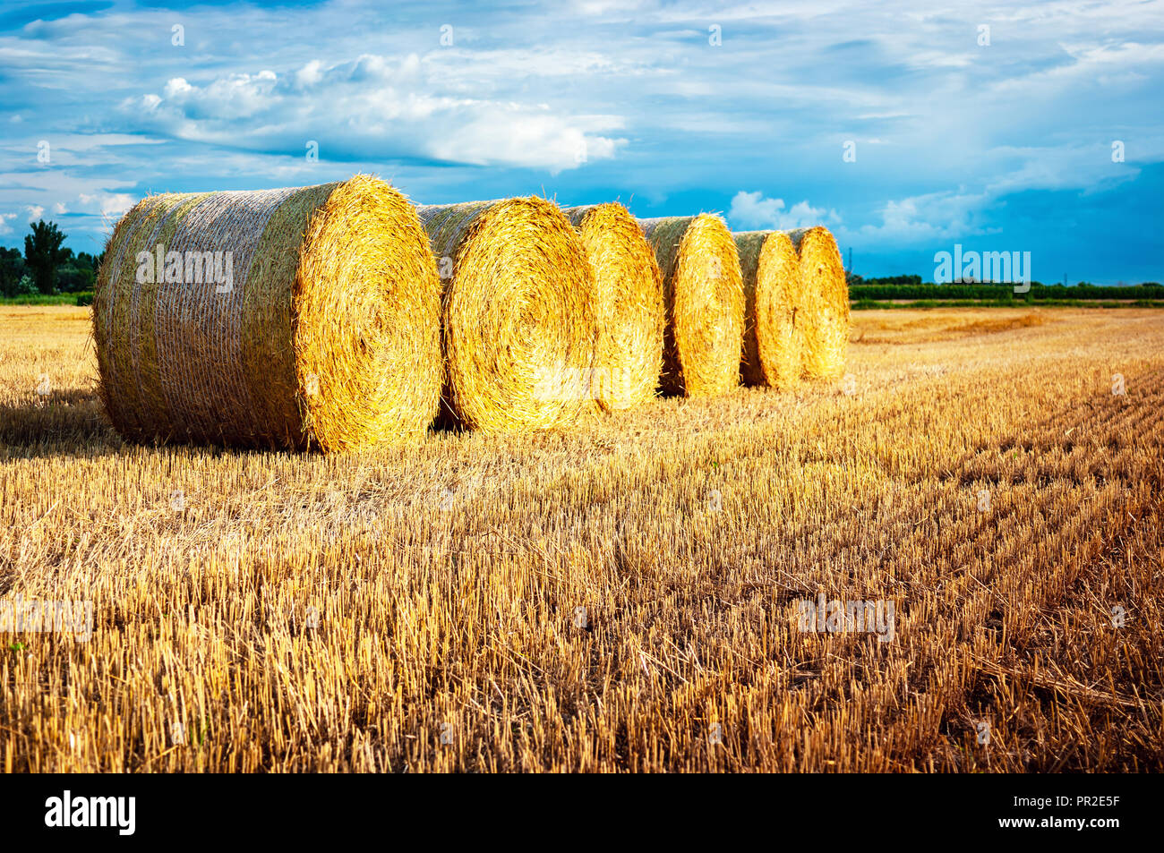 Rolled landscape hi-res stock photography and images - Alamy