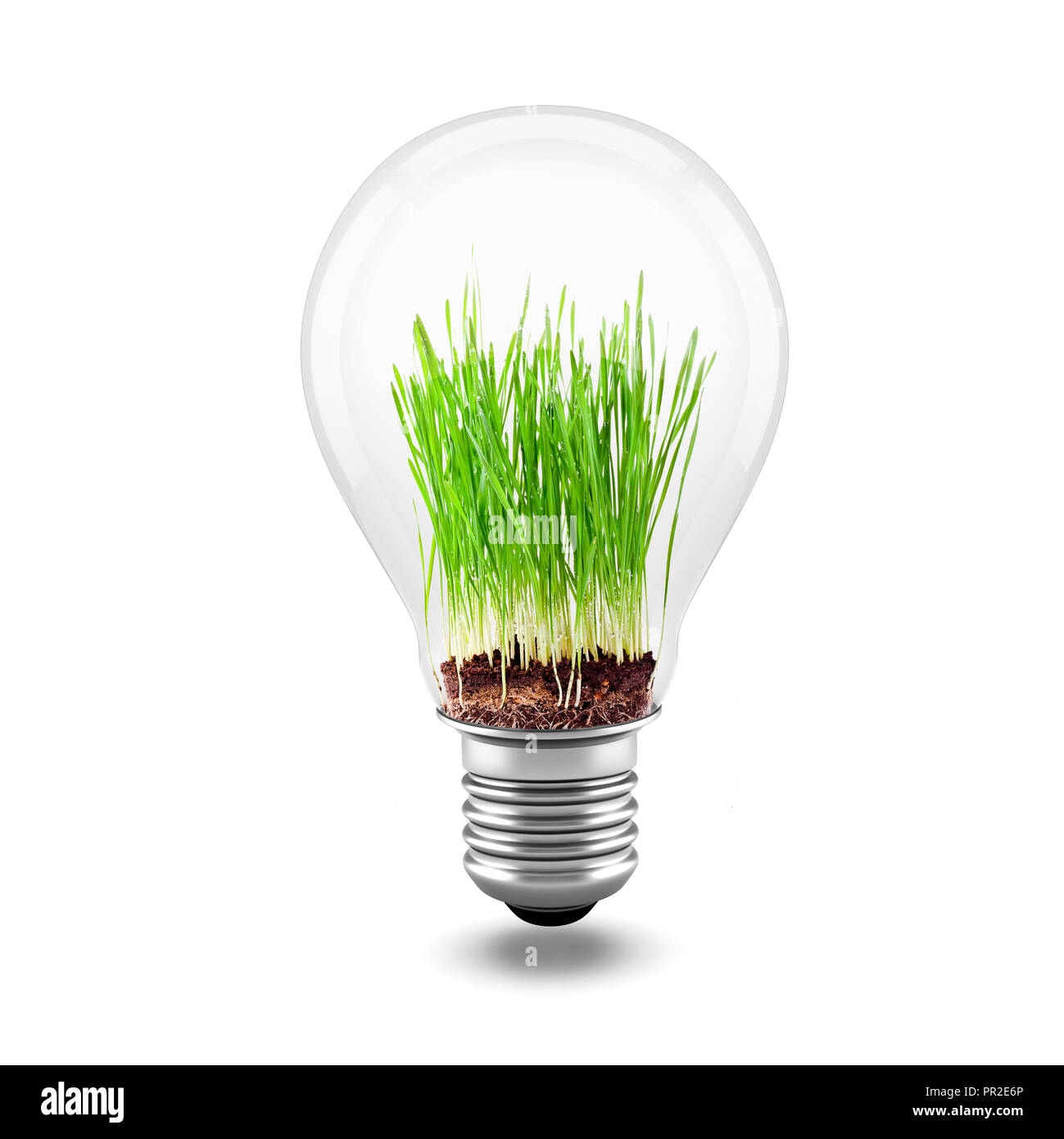 3d close up image of green grass inside a light bulb Stock Photo - Alamy