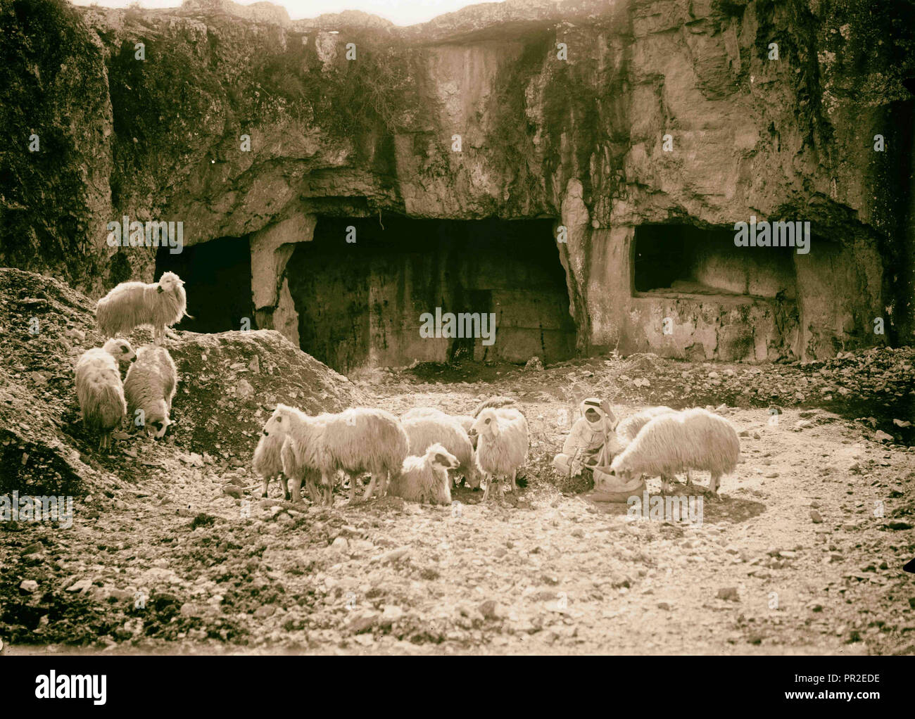 shepherd life, illustrating the Twenty Third Psalm 'Thou preparest a ...