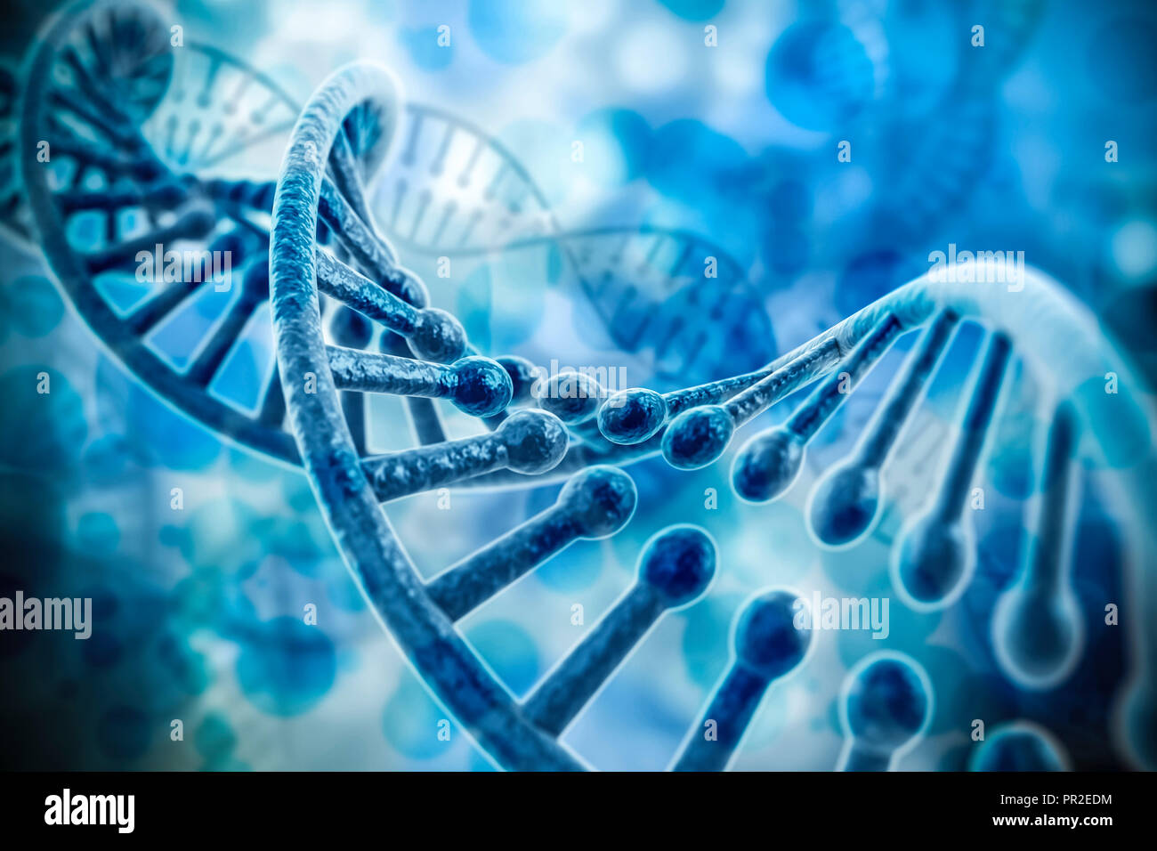 Dna Structure Animation