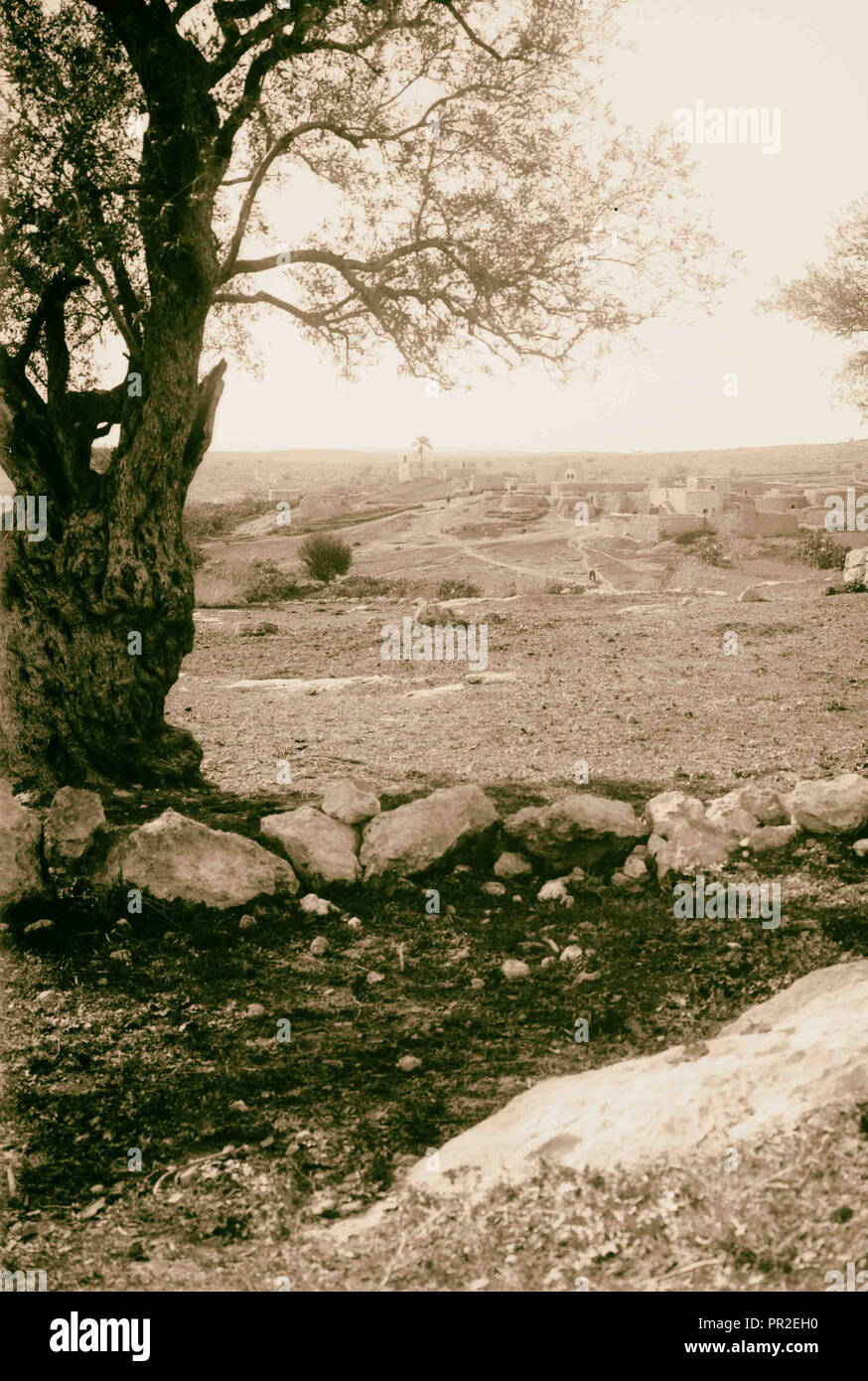 Succoth hi-res stock photography and images - Alamy