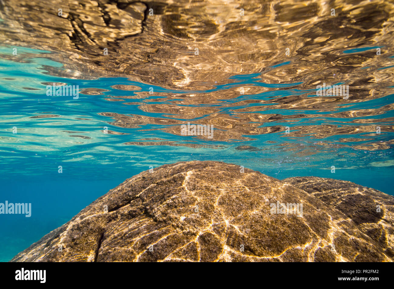 Underwater Boulder City Nevada Mystery Nevada Fossil Site Could Be