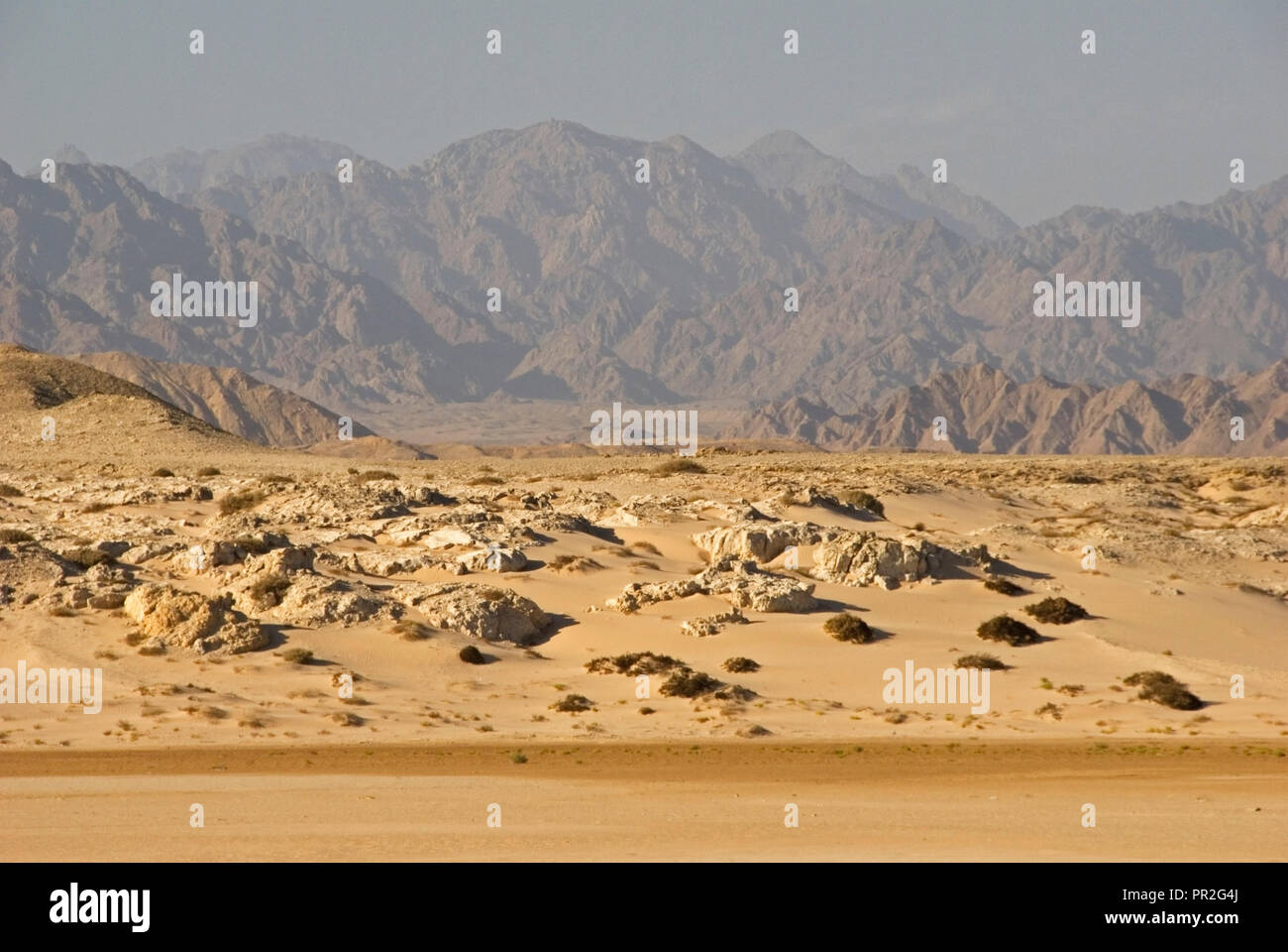 Ras Muhammad National Park. Egypt Stock Photo - Alamy