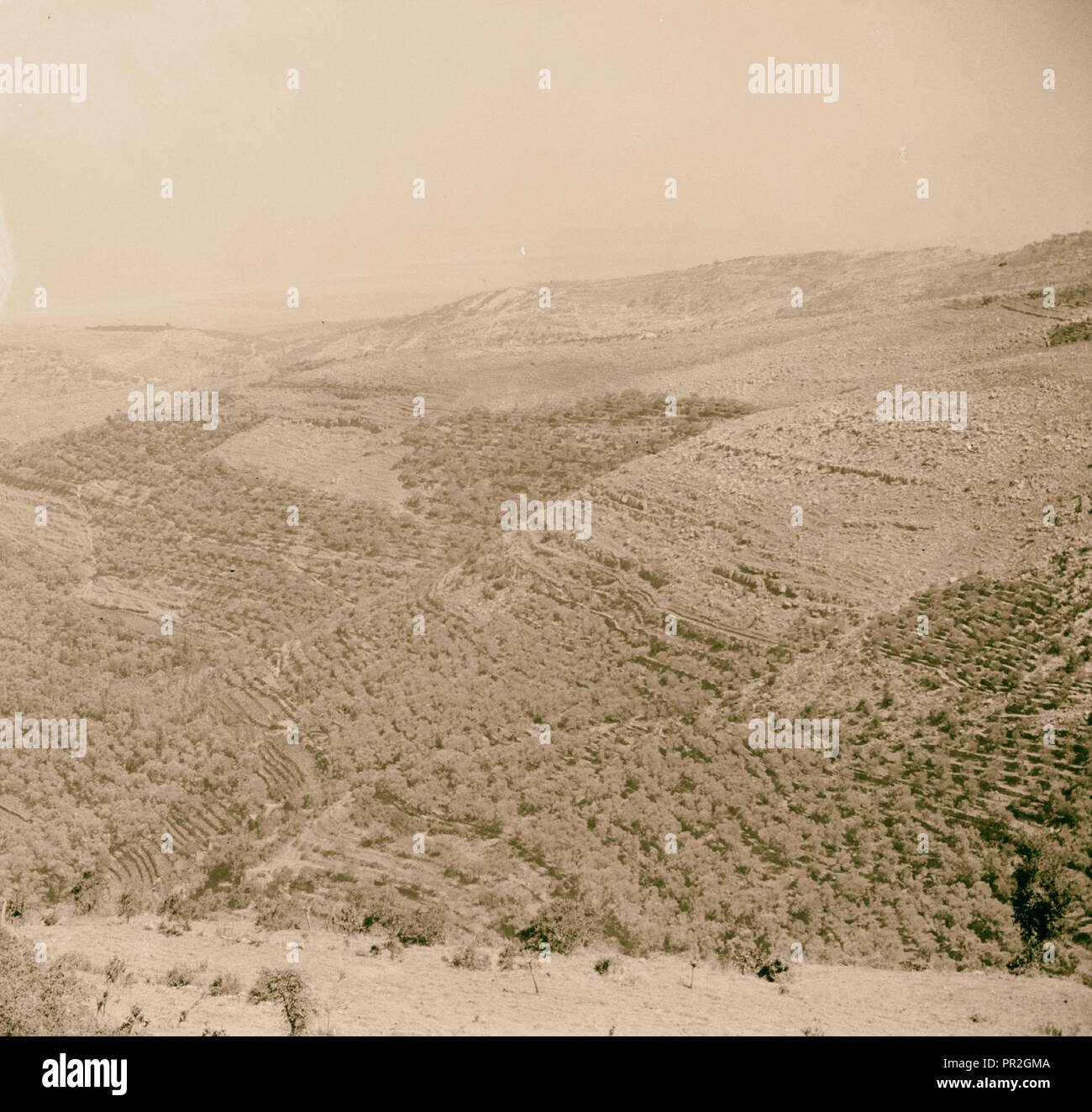 Dummar hi-res stock photography and images - Alamy