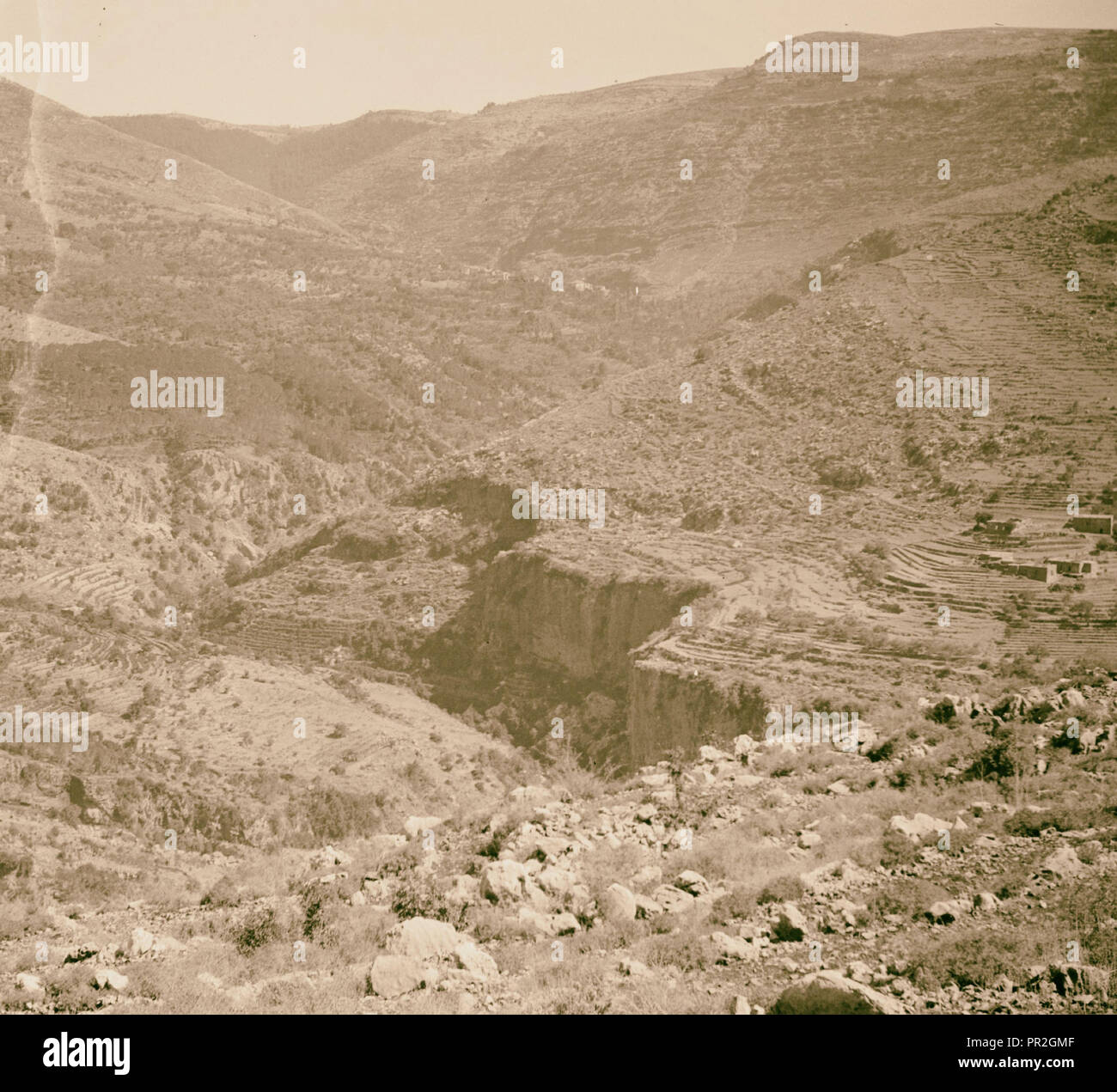 Dummar hi-res stock photography and images - Alamy