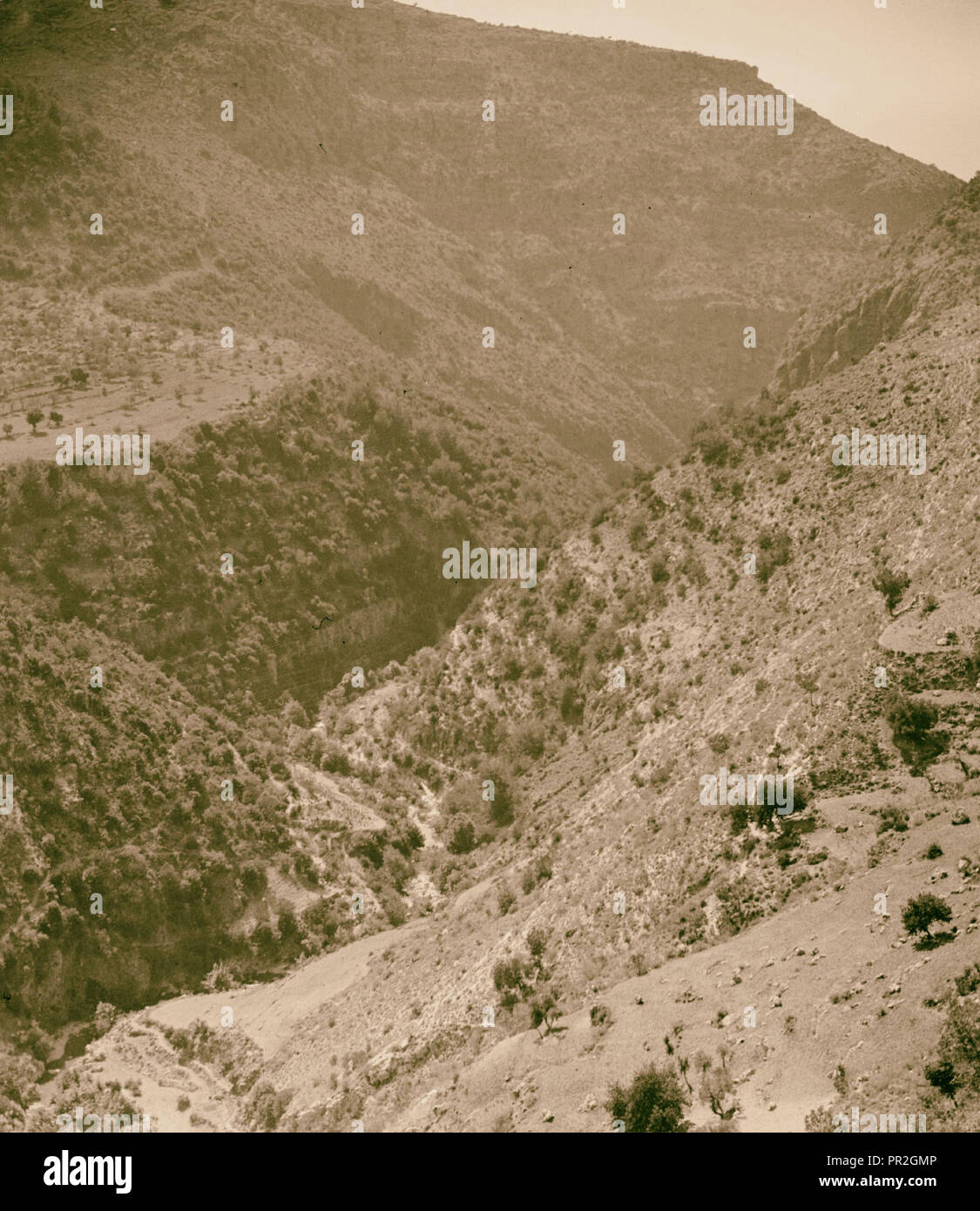 Dummar hi-res stock photography and images - Alamy