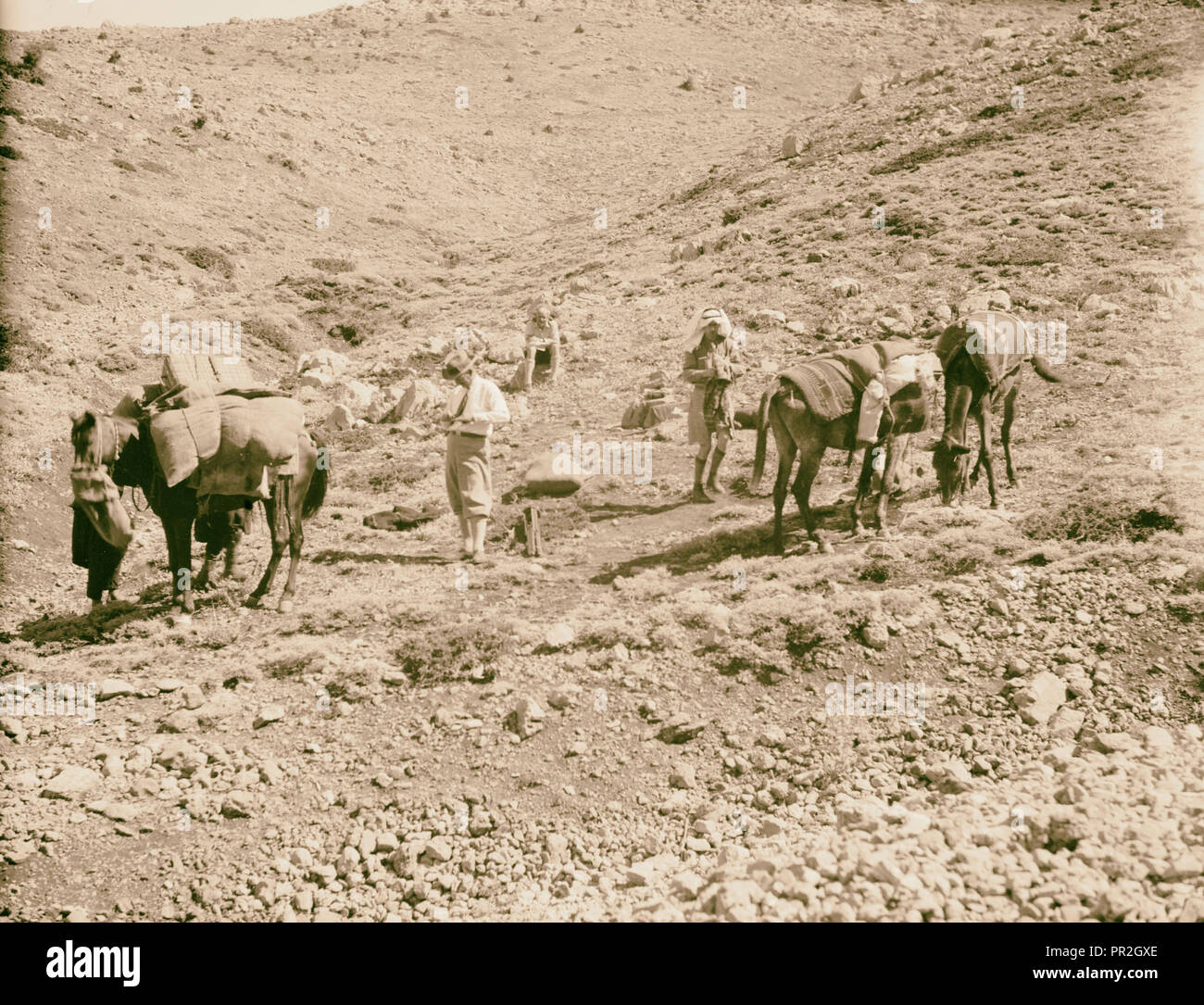 Ain Zebib. Mt. Hermon. 1933, Middle East Stock Photo - Alamy