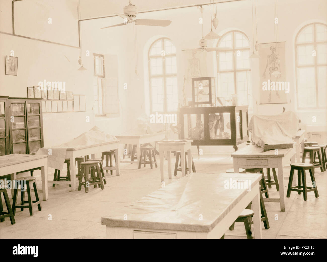 Medical College, Baghdad & road bld'g [i.e., building], Medical ...