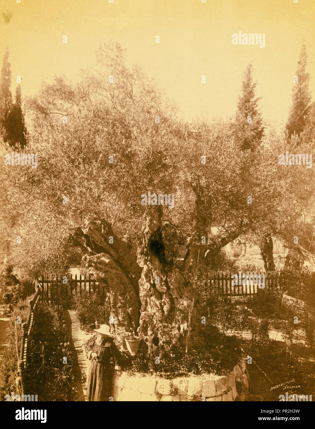 Iraq. (Mesopotamia). Baghdad. Views, street scenes, and types. Baghdad ...