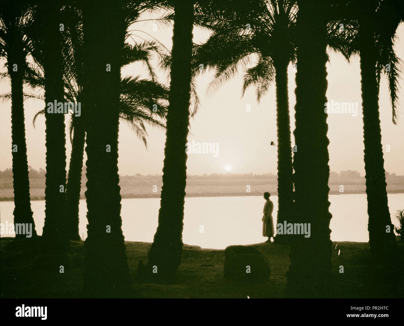 Iraq. River scenes on the Euphrates taken at Hilla. Sunrise through a ...