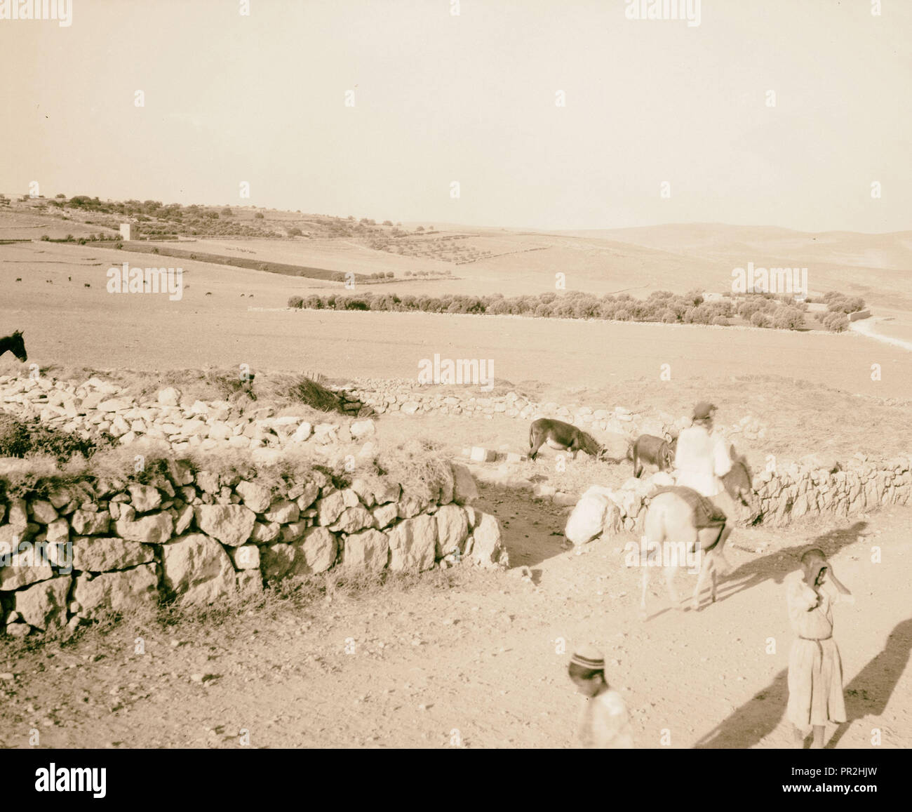 Shepherds fields bethlehem israel hi-res stock photography and images ...