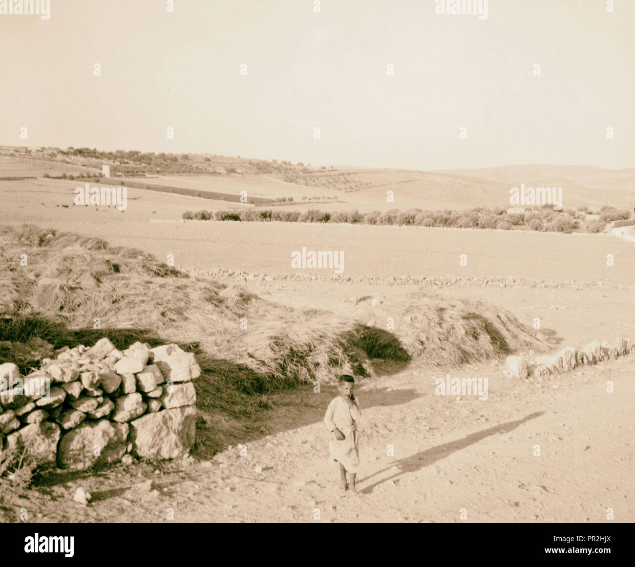 Shepherds fields bethlehem israel hi-res stock photography and images ...