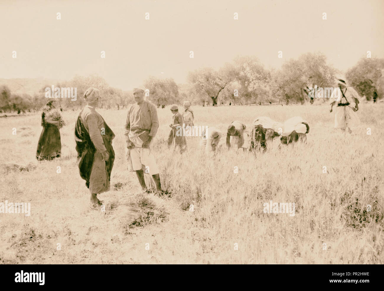 Ruth the Moabitess and others 1925, Middle East Stock Photo - Alamy