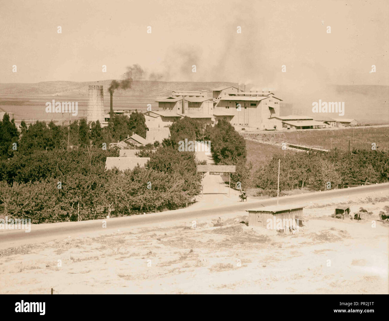 Zionist activities around Haifa. Haifa, The Nesher Cement Works. 'Eagle ...