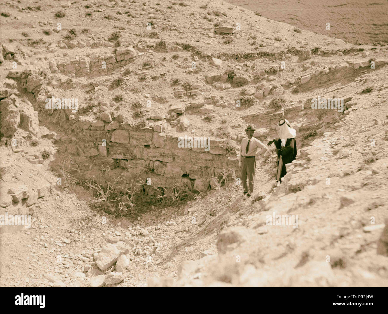 Machaerus hi-res stock photography and images - Alamy