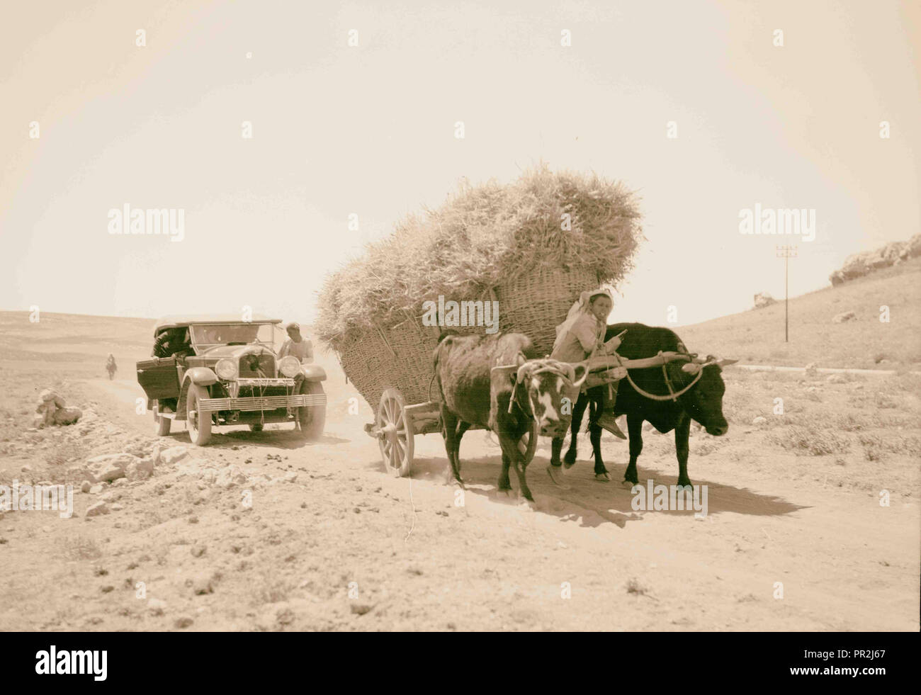 Circassian ox cart hi-res stock photography and images - Alamy