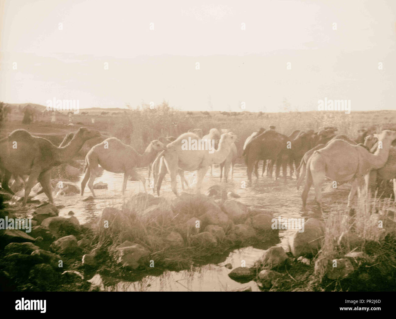 El-Azrak & Wadi Sirhan in the Arabian Desert. Druse [i.e., Druze ...