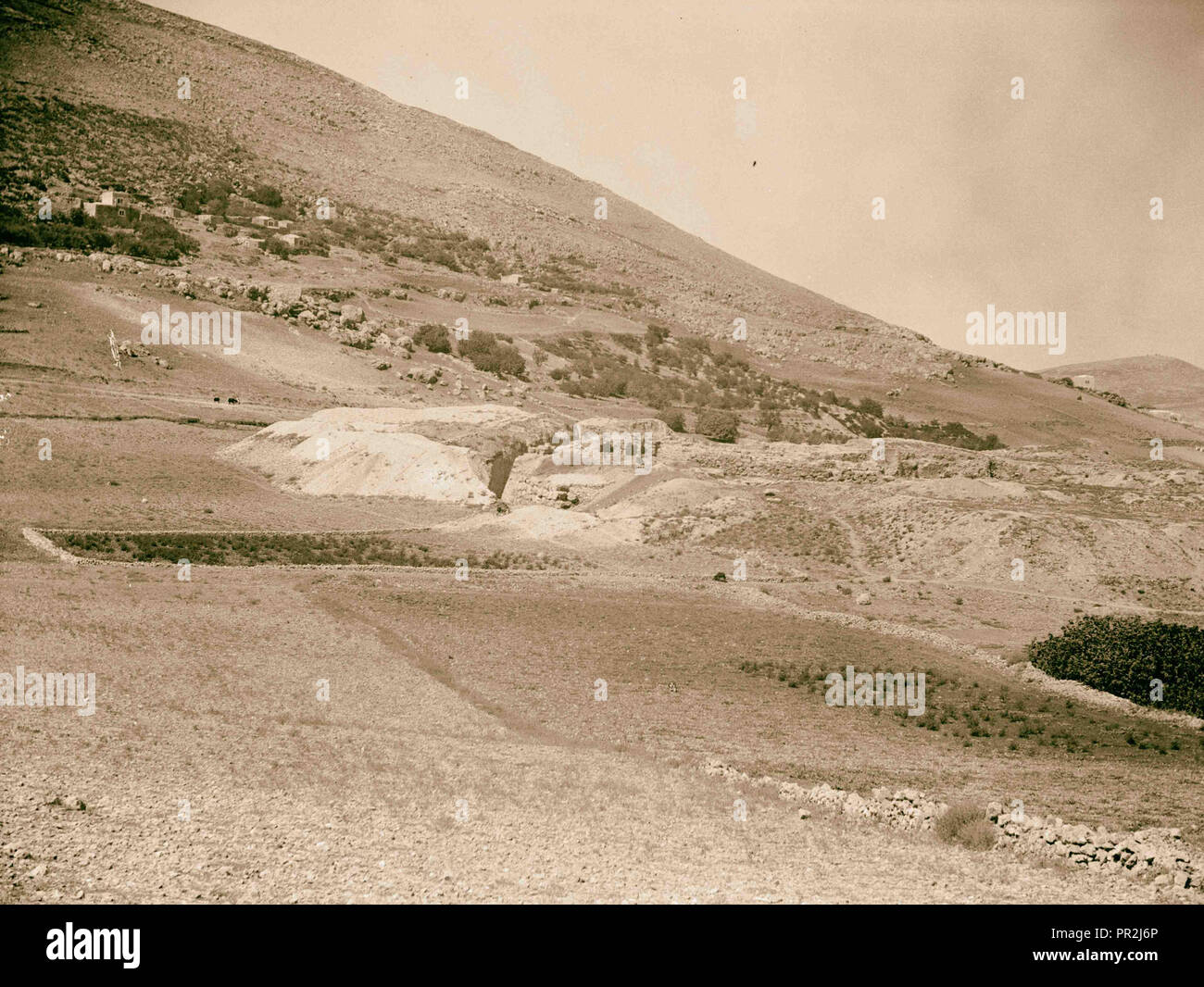 Shechem hi-res stock photography and images - Alamy