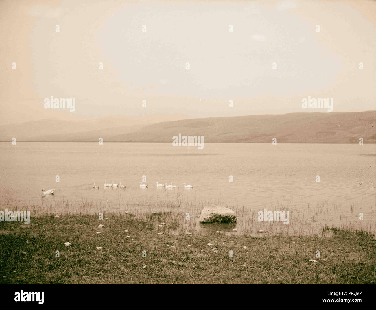 Huleh valley hi-res stock photography and images - Alamy