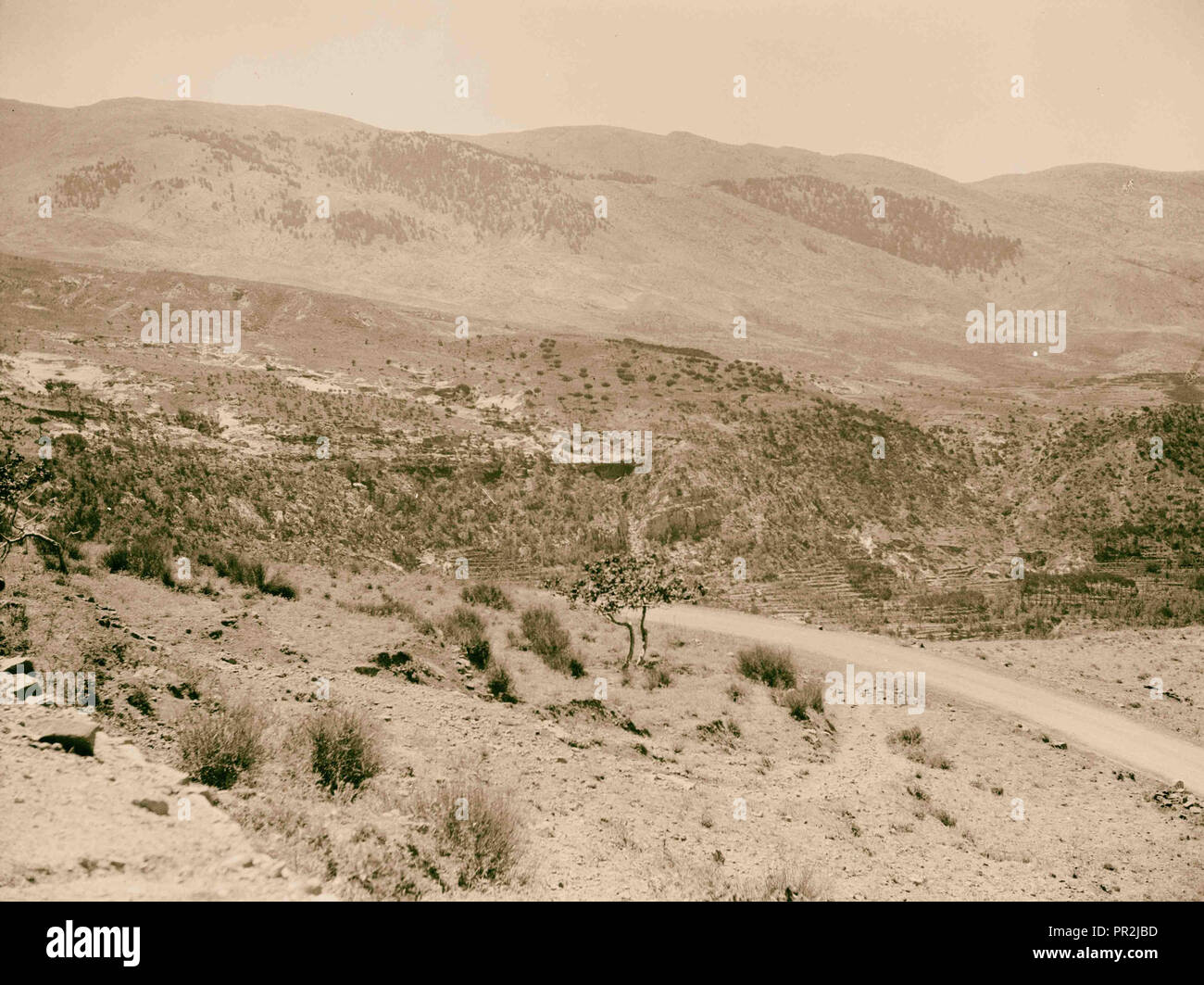 Mount Lebanon. Beirut. Aleih, Ras-el-Metn District. Lebanon. The Baruk ...