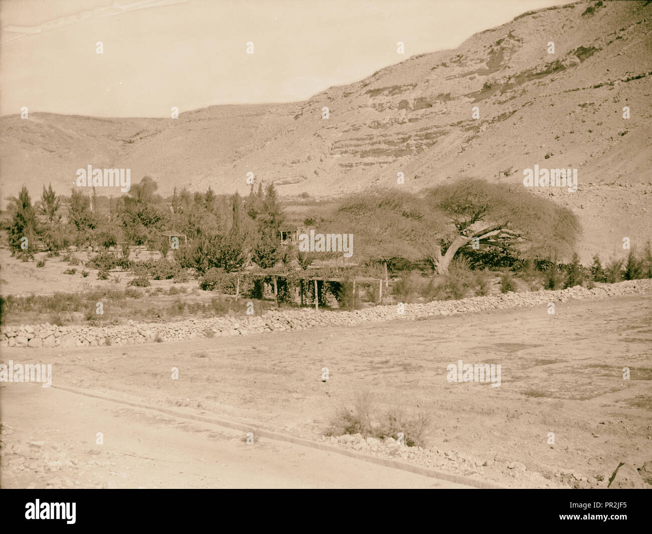 To Sinai by car Ain Gedeirat. Possibly Kadesh Barnea of Num. 328, 1920 ...