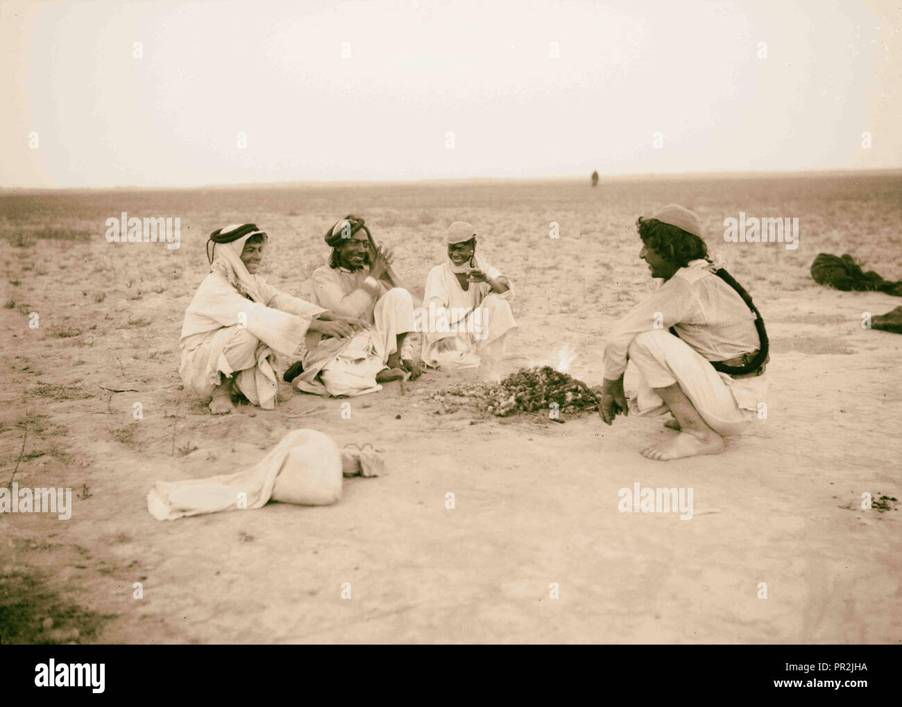 Locust plagues in Palestine. Methods of fighting the locust plague ...