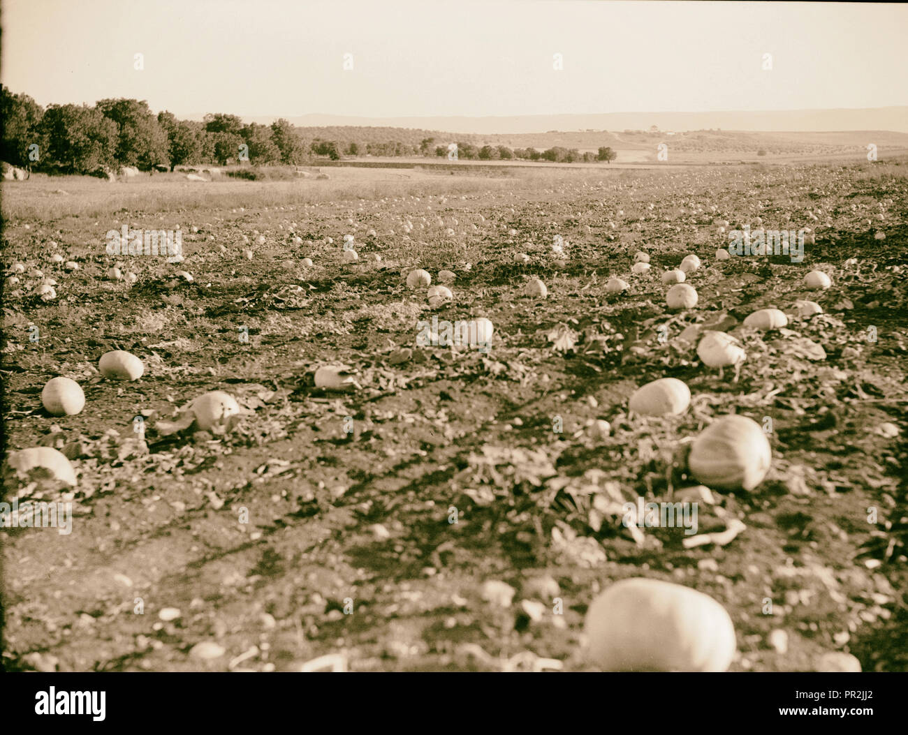 Bethlehem of galilee hi-res stock photography and images - Alamy