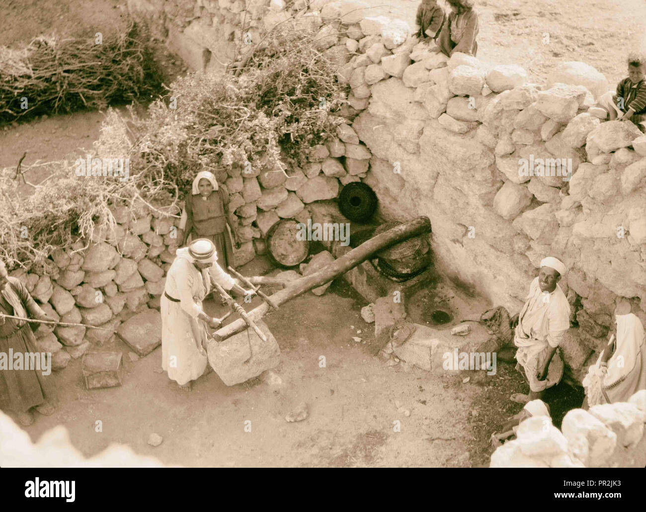 Olive crushing and pressing. Method of weighting the press. Great ...
