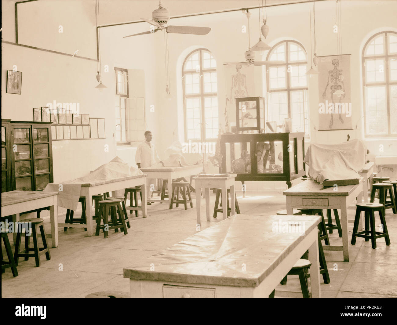 Dissecting room hi-res stock photography and images - Alamy