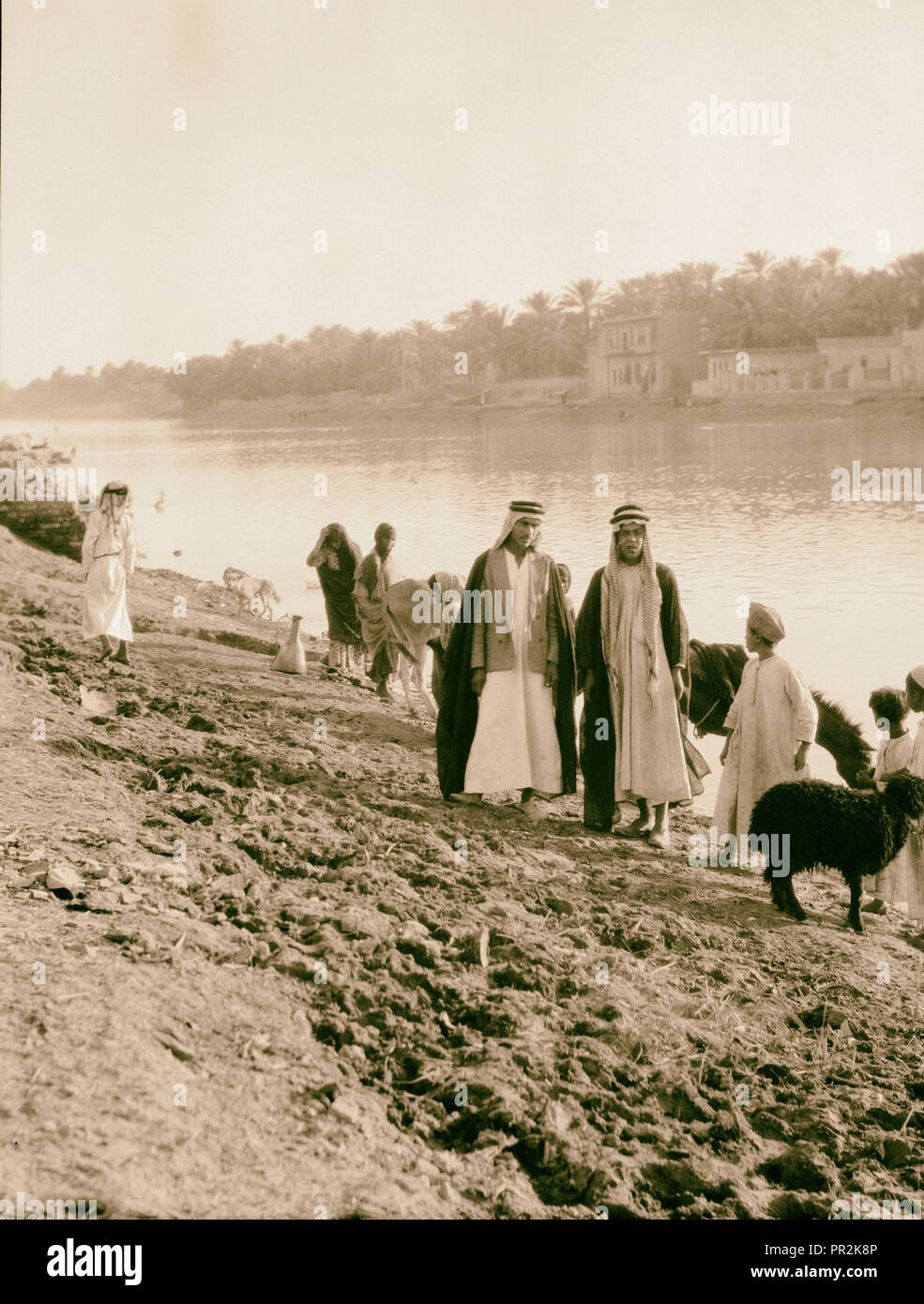 Iraq. River scenes on the Euphrates taken at Hilla. A river scene ...