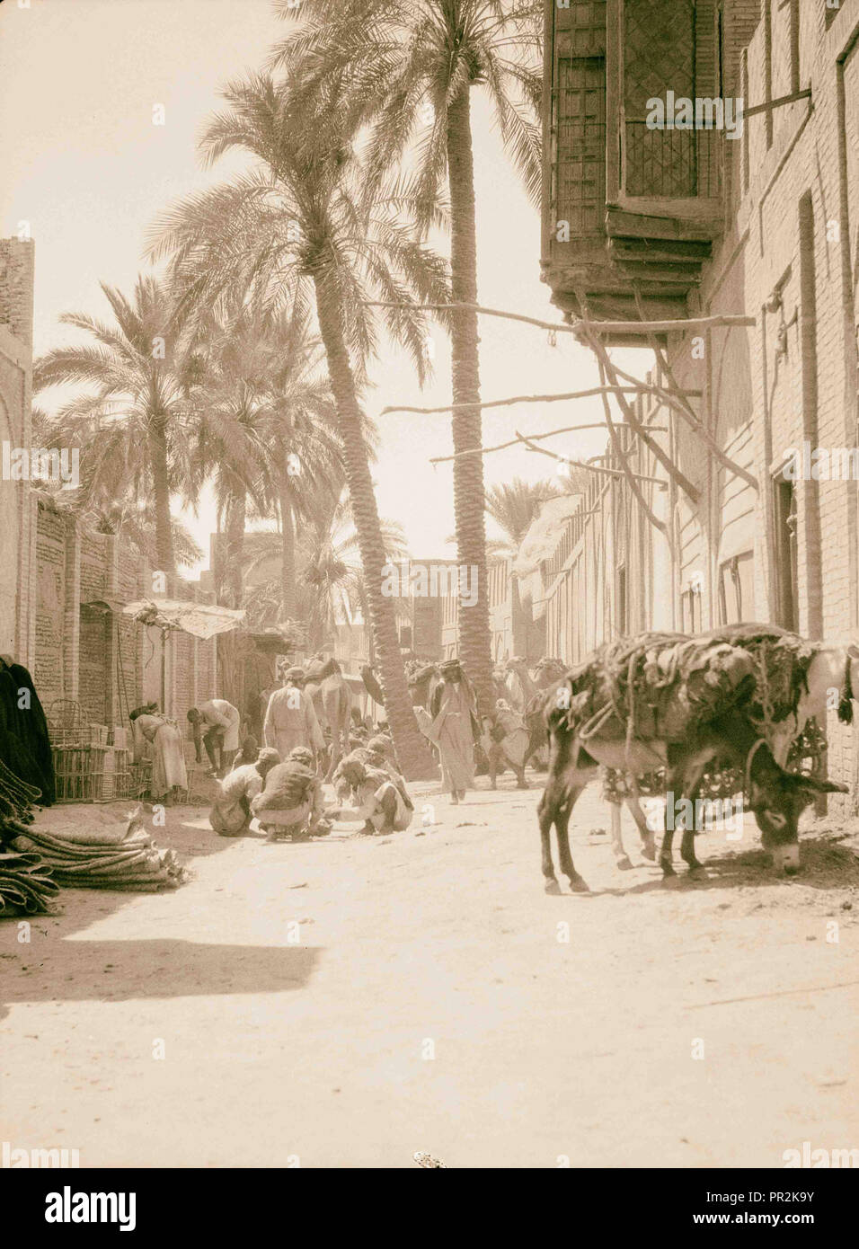 Iraq. Kufa. (On the banks of the Euphrates). Once an important Moslem ...