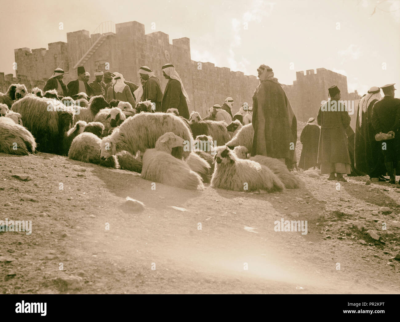 Sheep market at Herod's Gate. 1934, Jerusalem, Israel Stock Photo - Alamy