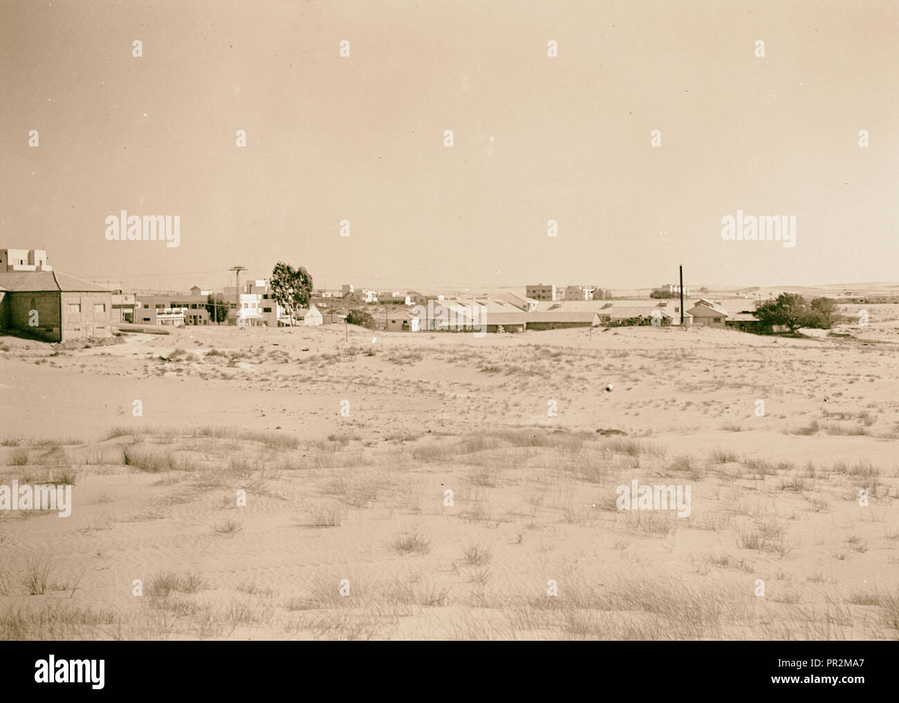 Plain of sharon hi-res stock photography and images - Alamy