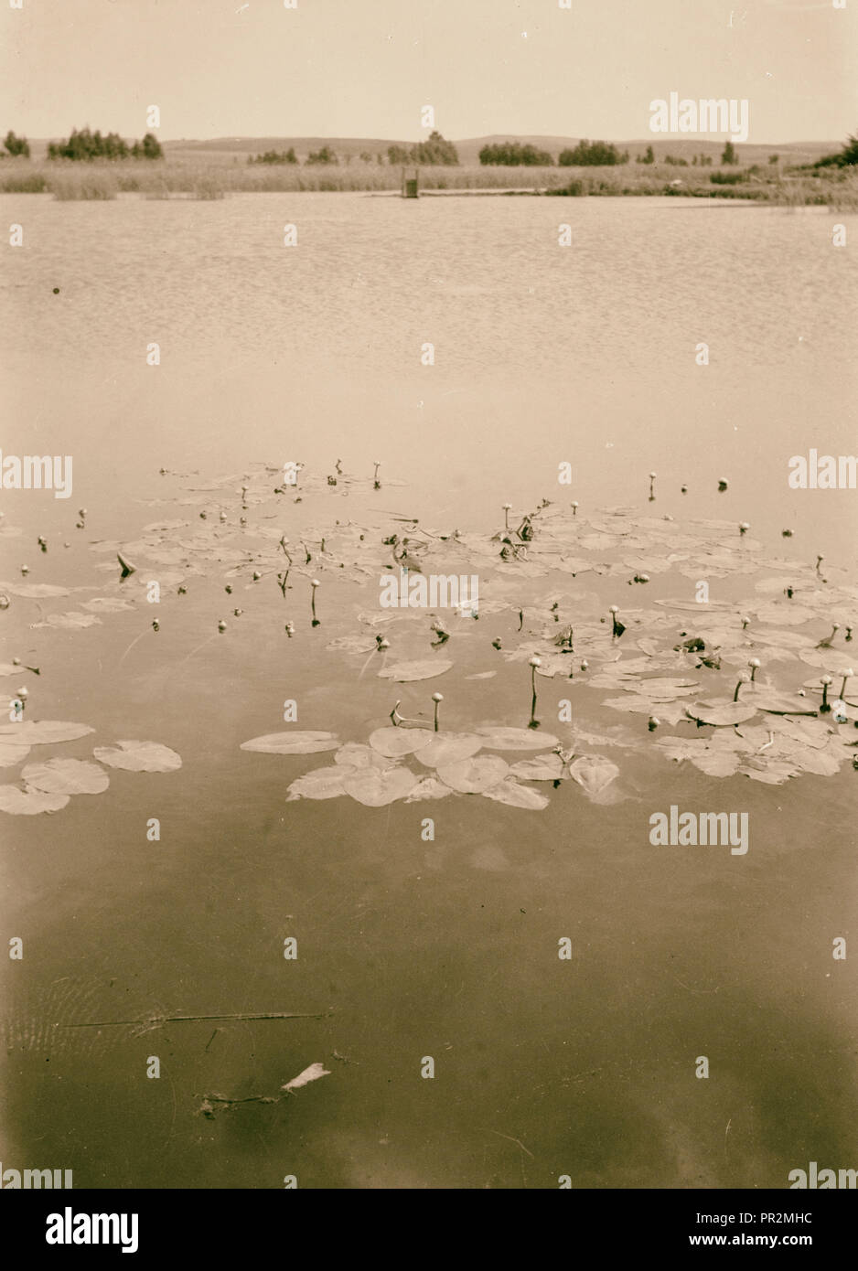 Jewish factories in Palestine on Plain of Sharon & along the coast to ...