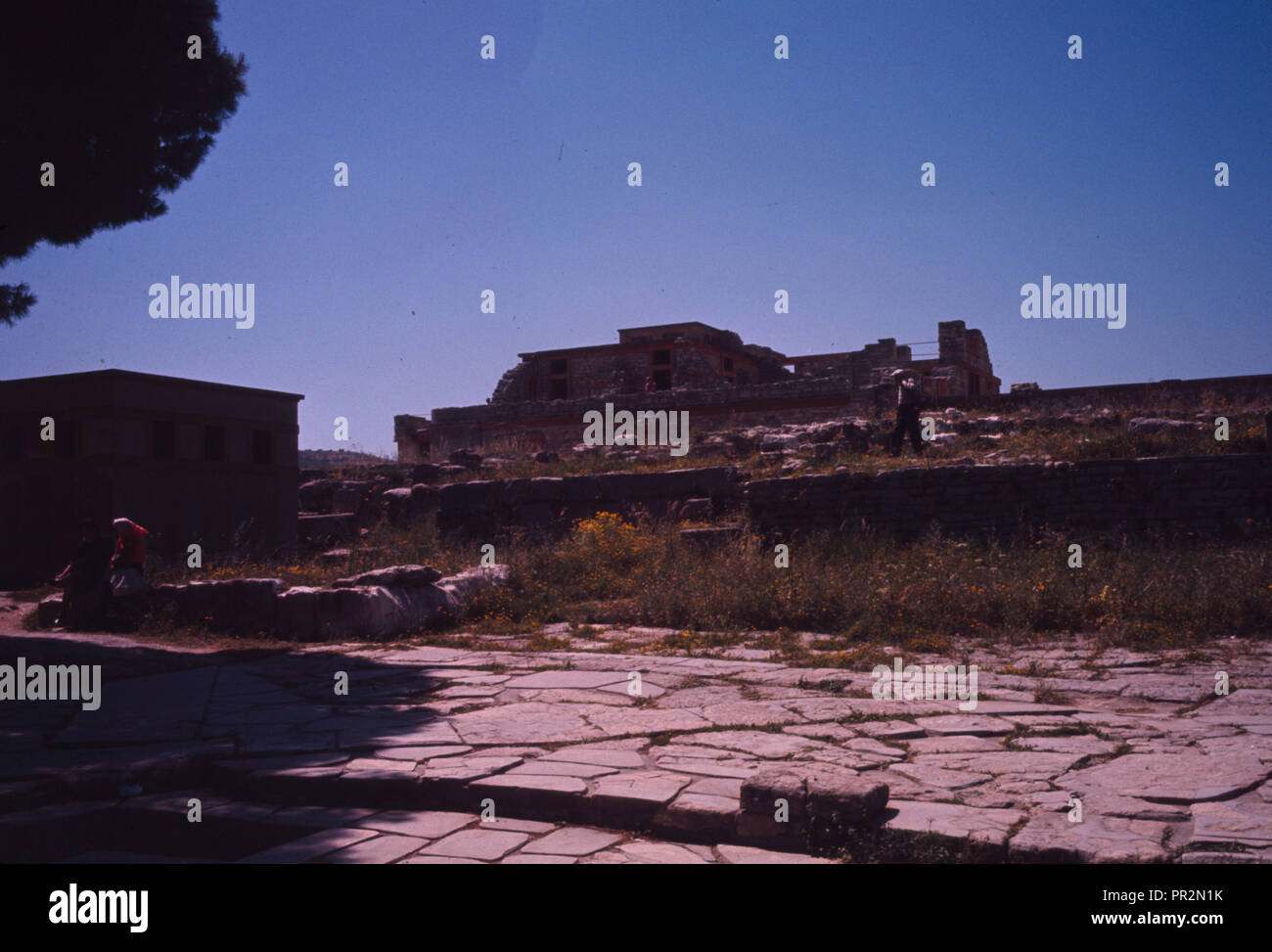 Knossos, Crete. 1950, Greece, Knossos (Extinct city Stock Photo - Alamy
