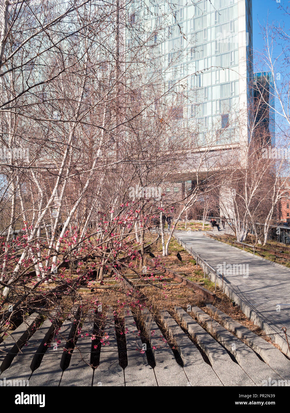 High Line in a sunny winter day Stock Photo - Alamy