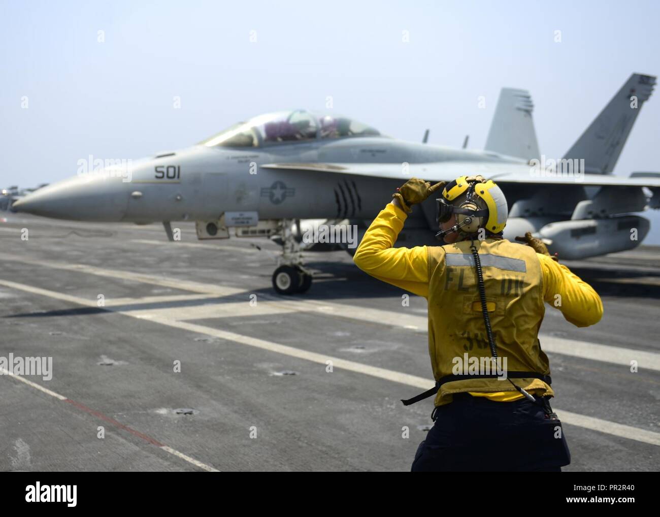 Polly gray hi-res stock photography and images - Alamy