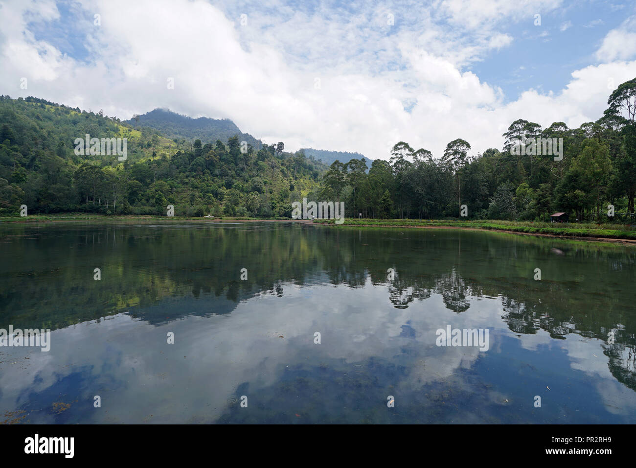 Ciparay hi-res stock photography and images - Alamy