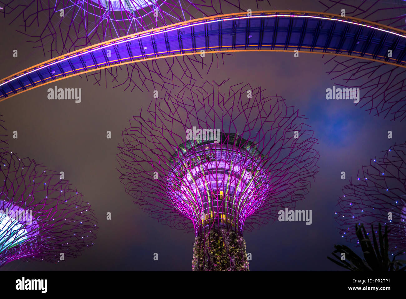 Super Trees in Singapore Stock Photo - Alamy